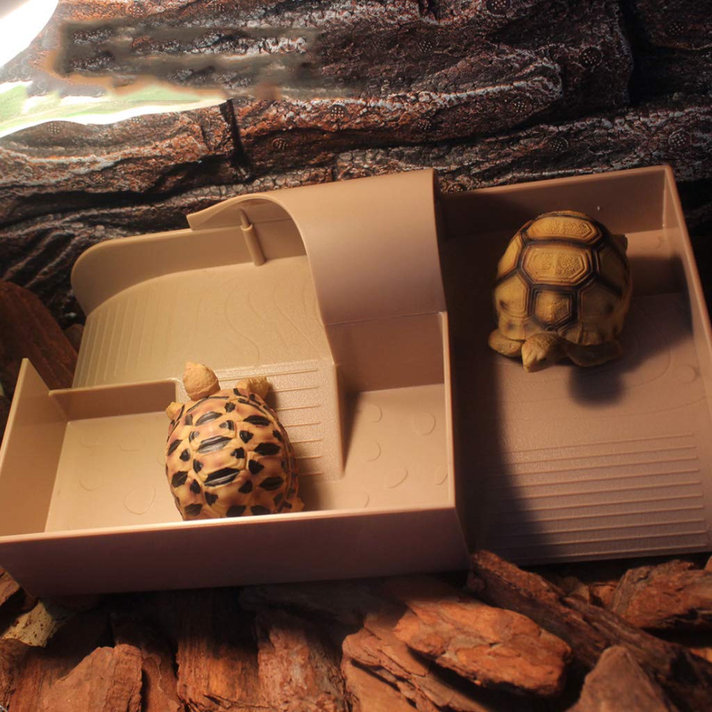 Buy HULE Reptile Water Turtle Nest,Turtle Multi-Function Turtles ...