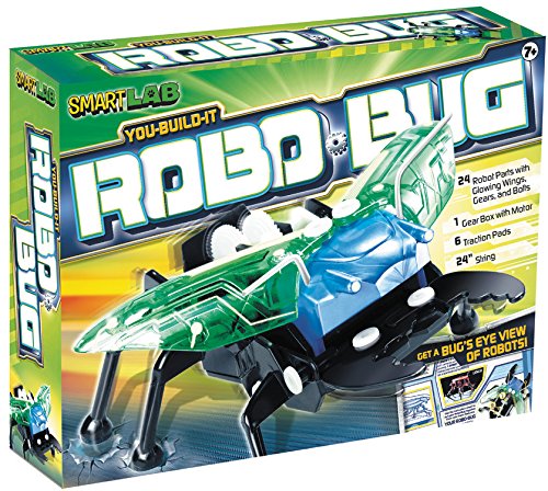 You-Build-It Robo Bug (Smart Lab): David Gordon: 9781603800679: Amazon ...