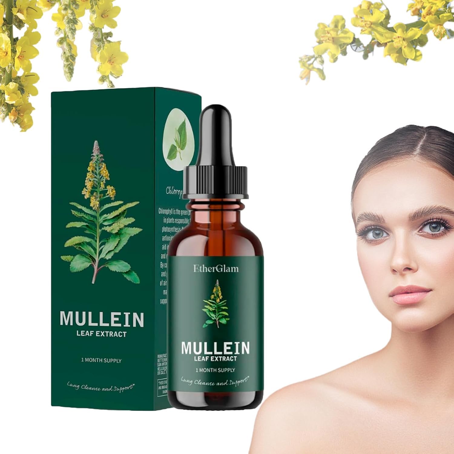 Mullein Leaf Extract,Mullein Chlorophyll,Mullein Extract,Mullein Leaf ...