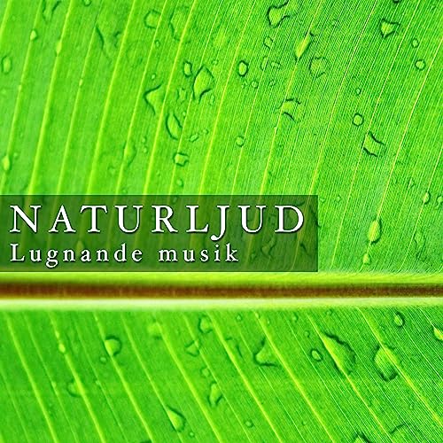 Amazon.com: Naturljud: Lugnande musik för Stressade och Sömnlösa Själar ...