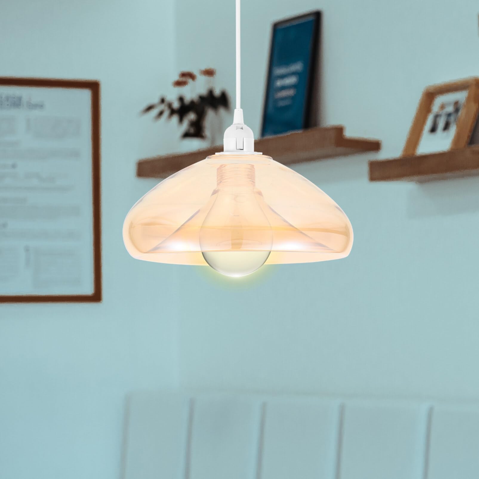 Threaded Lamp Shades For Ceiling Light
