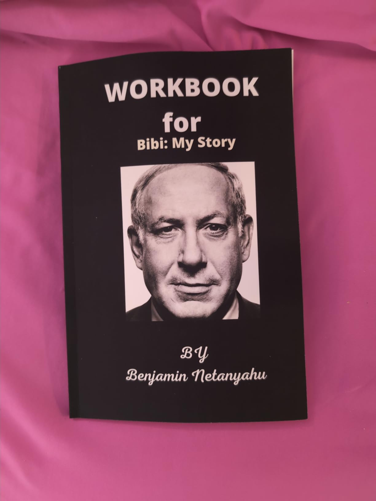 workbook for Bibi: My Story by Benjamin Netanyahu: og, ec, benj: Amazon ...