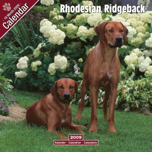 Rhodesian Ridgeback: 0 : Avonside Publishing Ltd: Amazon.in: Books