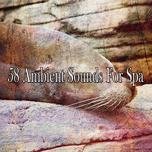 Play 58 Ambient Sounds for Spa by Rest & Relax Nature Sounds Artists on ...