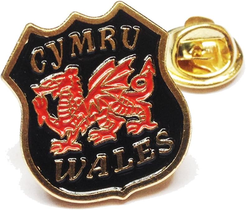 Amazon.com: Welsh Dragon Black Shield Pin Badge : Clothing, Shoes & Jewelry