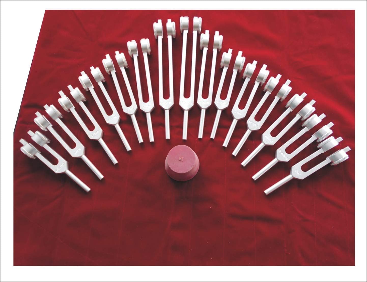 Amazon.com: Human Organ Tuning Fork Set : Musical Instruments