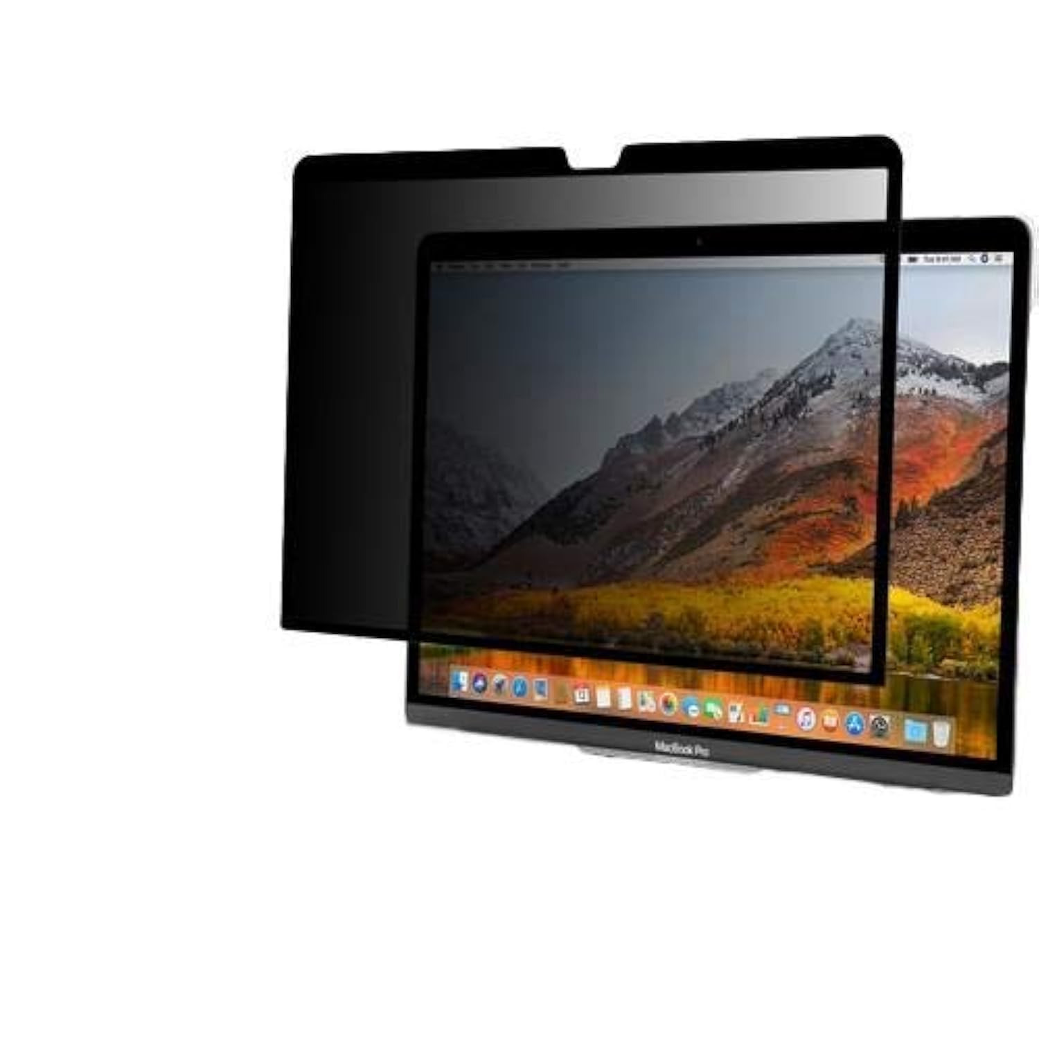 Eye + Face Skin Protection AntiGlare Screen for 17.3 Inch Desktop ...