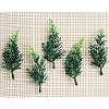 Amazon.com: Cakegirls Skier Pine Tree Cupcake Topper Display Kit 6 ...