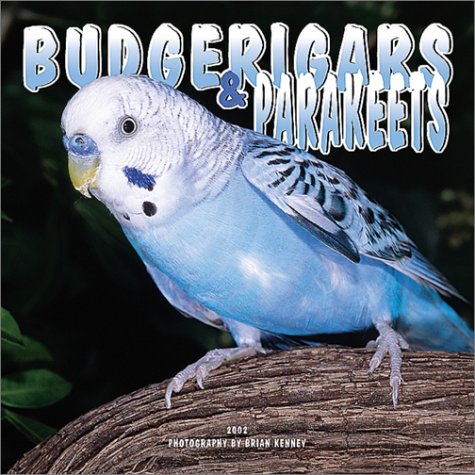 Budgerigars & Parakeets, 2002 Calendar: Kenney, Brian: 9780763142421 ...