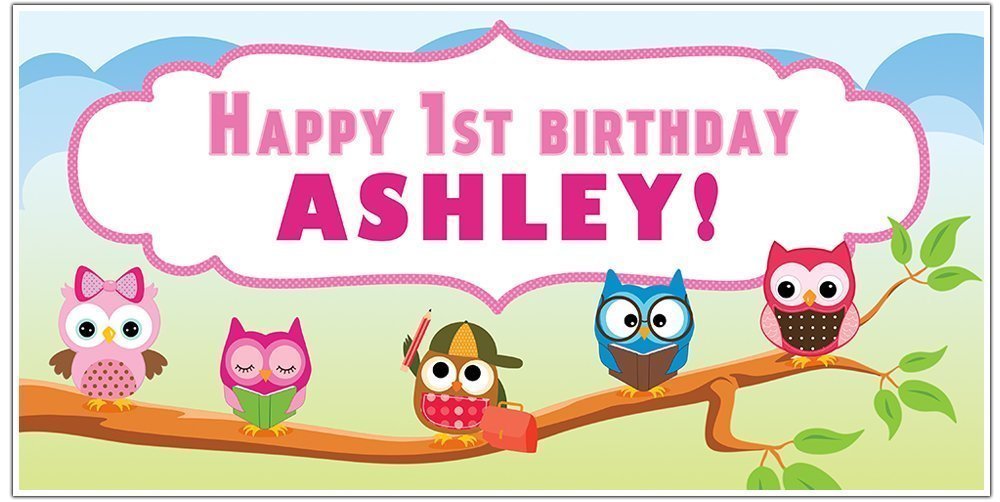 Amazon.com: Owls Hoot Birthday Banner Personalized Party Backdrop ...