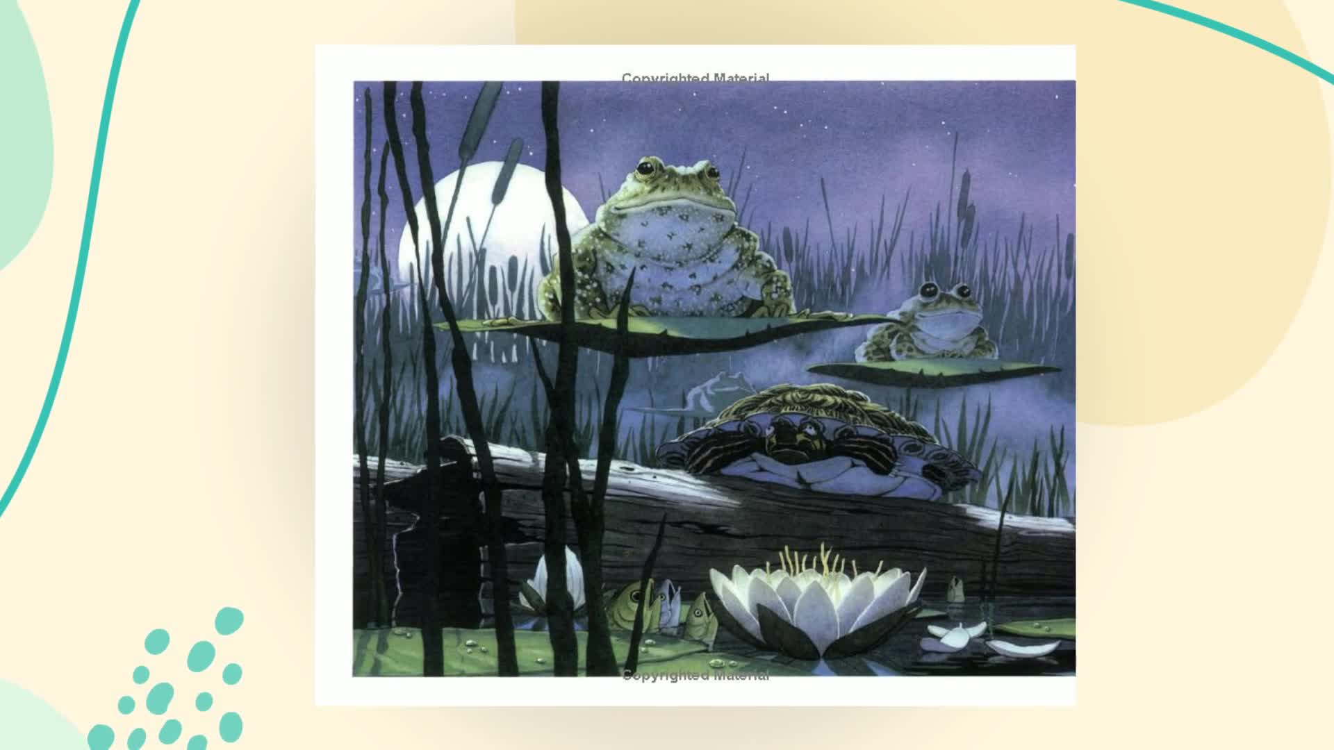 Frogs Flying On Lily Pads