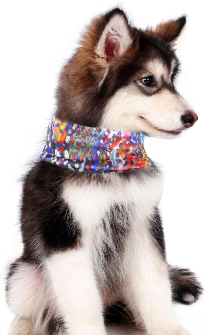 Amazon.com : 2 Pack Pet Cervical Collar Cover Dog Snood Neck Gaiter for ...