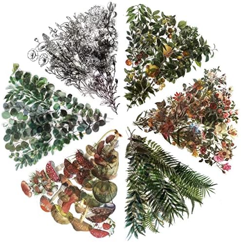 Amazon.com: MAXLEAF Transparent Nature Flower Stickers, 120PCS ...