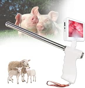 Amazon.com: SACLMD Visual Inseminator,Professional Visual Insemination kit,Endoscopic ...