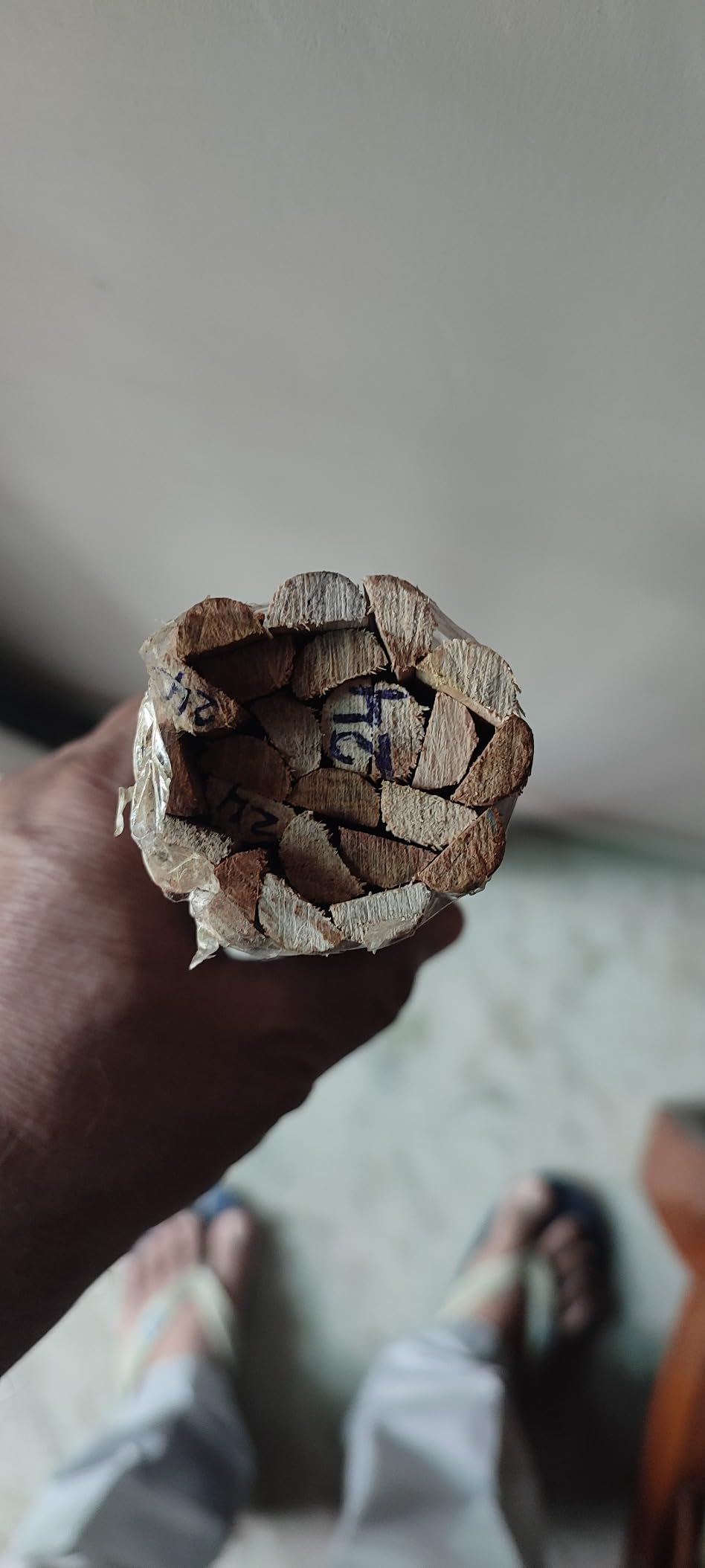 ARTECOVER Premium Wooden Plant Support Sticks for Climbers & Creepers ...