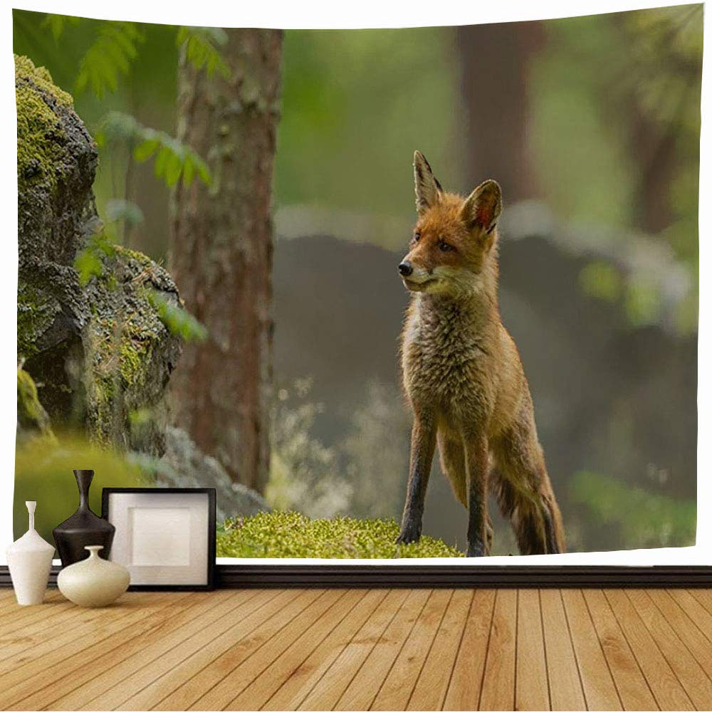 Grey Fox Wall Mount