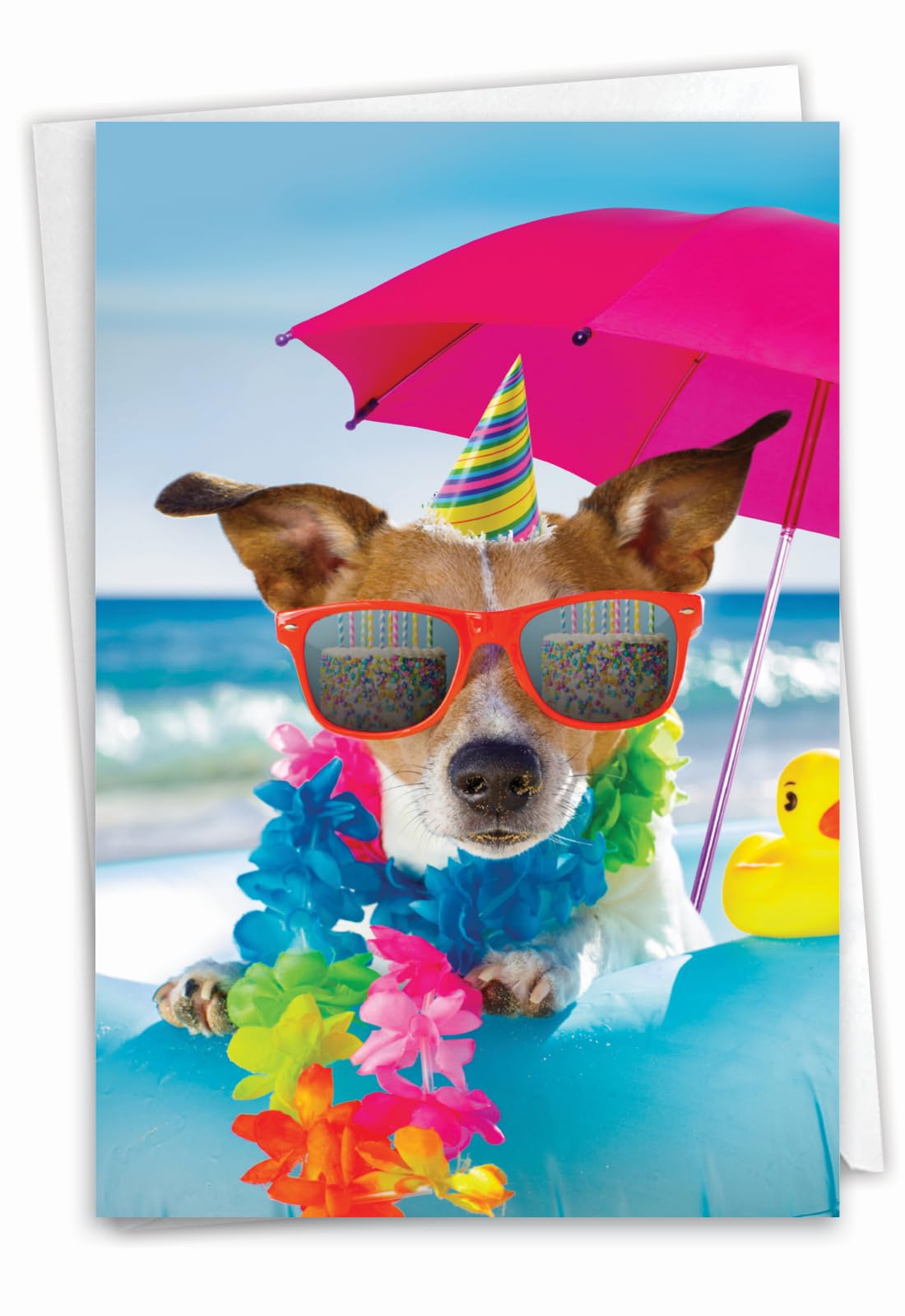 Happy Birthday Pictures Funny Animals