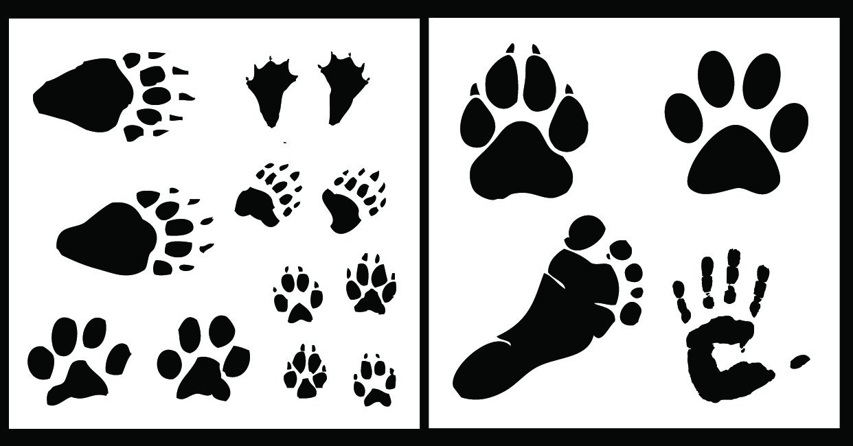 Buy Auto Vynamics - STENCIL-FOOTPRINTSET01-10 - Detailed Animal & Human ...