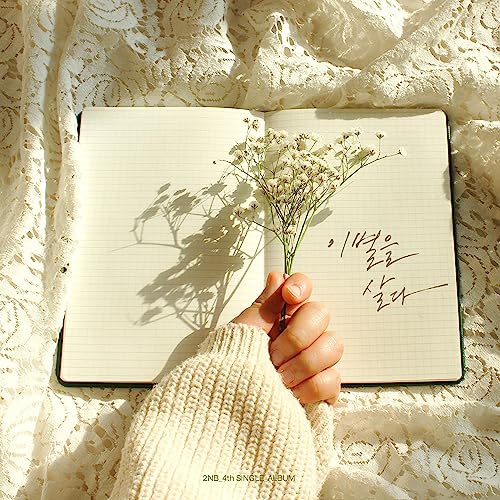 Without You von 2NB bei Amazon Music - Amazon.de