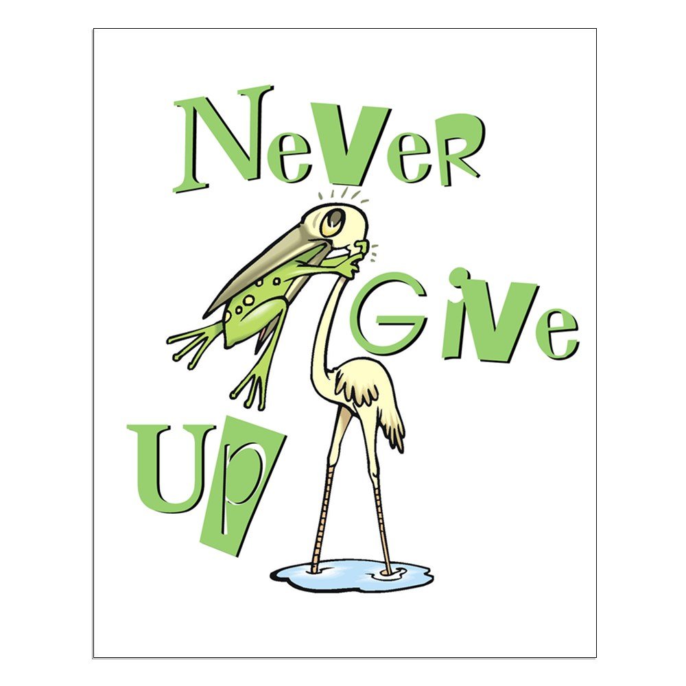 Never Give Up Frog