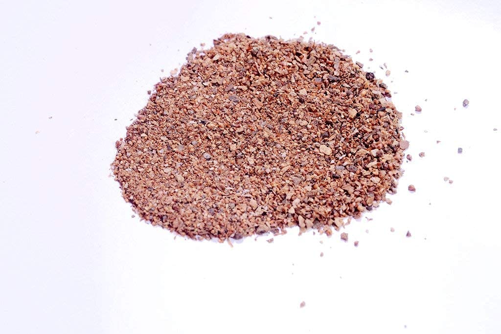 Green India Seeds Of Fig Bodhi Tree Pippala Tree Peepul | Desertcart INDIA