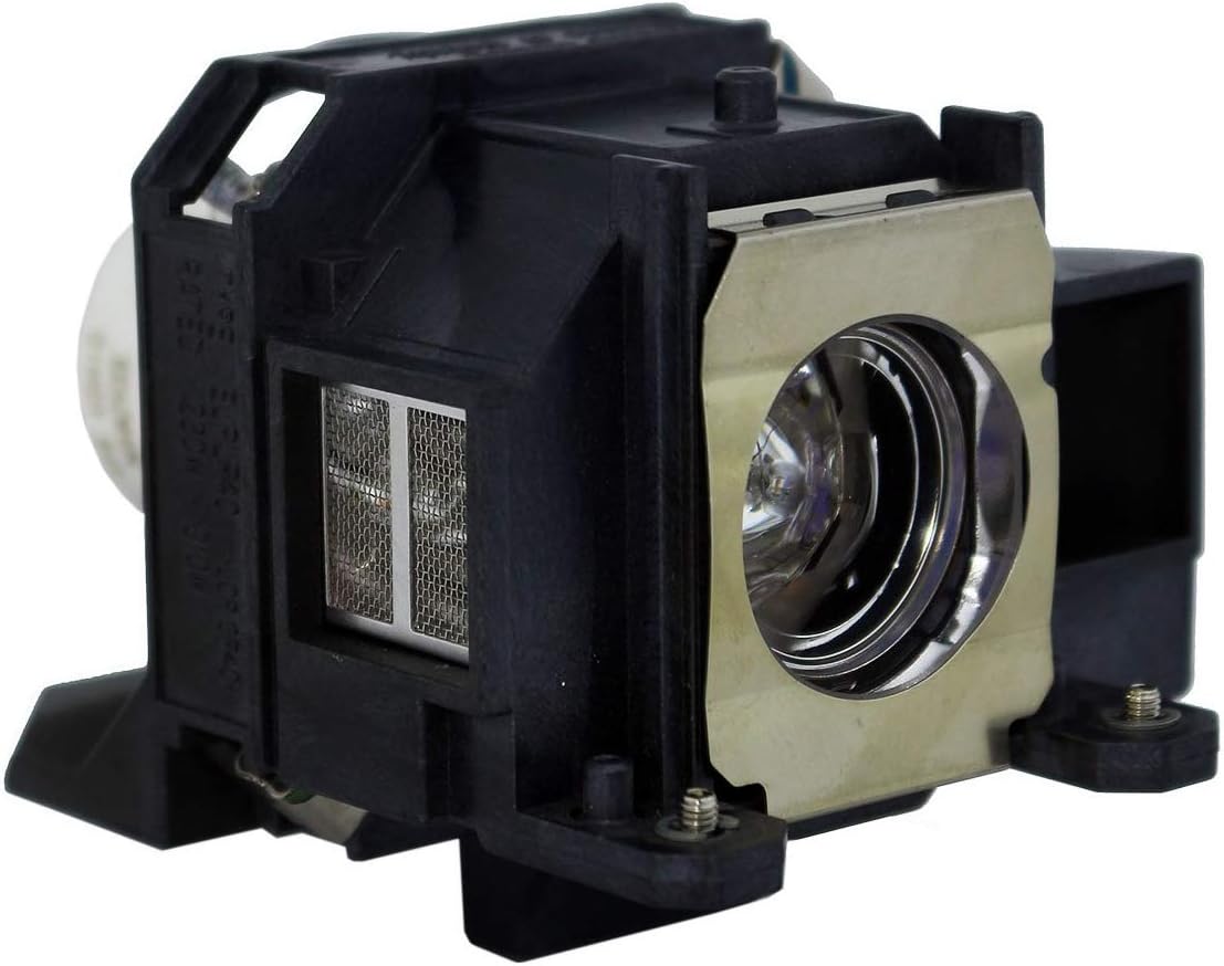Amazon.com: GOLDENRIVER ELP40/ V13H010L40 Replacement Projector Lamp ...