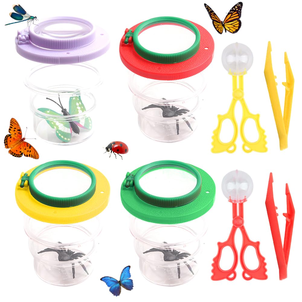 caja de insectos para niños – MundoAnimal