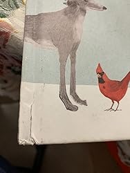 Amazon.com: 1 to 20, Animals Aplenty: 9781576876800: Viggers, Katie: Books