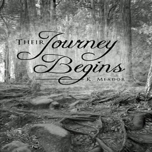 Amazon.com: Their Journey Begins (Audible Audio Edition): K. Meador ...