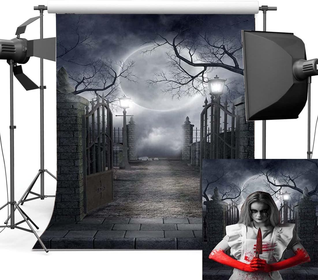 Haosphoto 5X7FT/150X210cm Halloween Backdrop Horror Moon Night ...