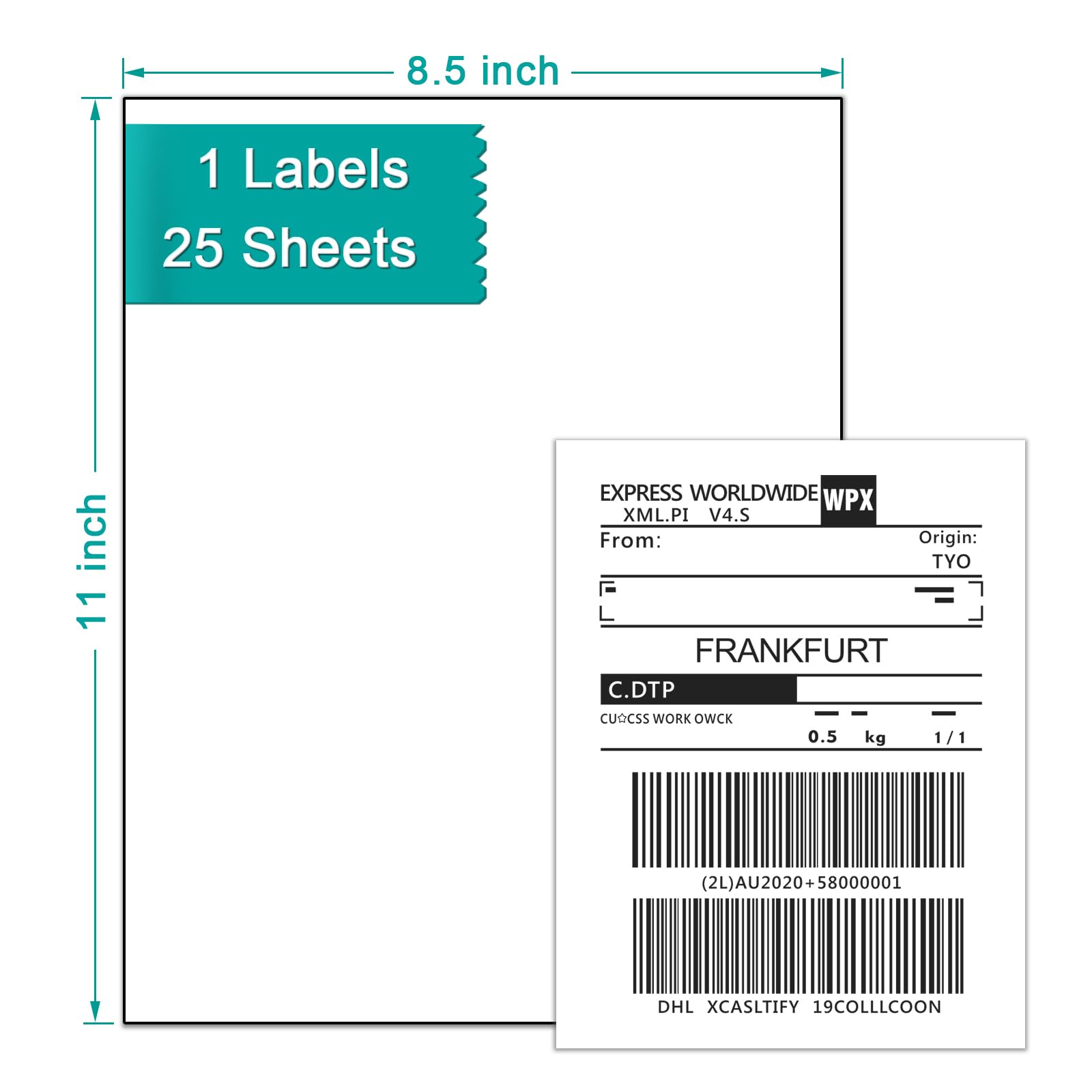 Snapklik.com : Colemoly 85x11 Inch Premium Address Labels - 250 Sheets ...