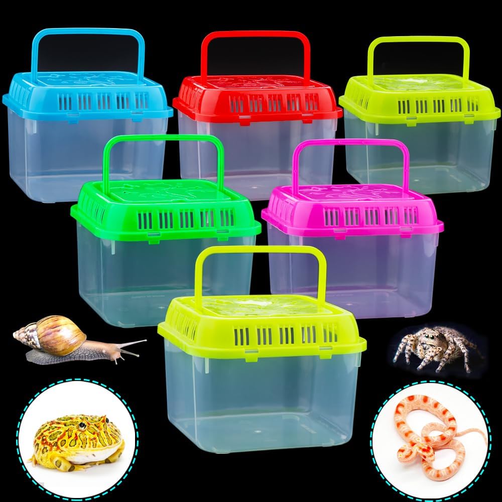 Amazon.com : 14 Pack Small Plastic Reptile Carrier Breeding Box ...