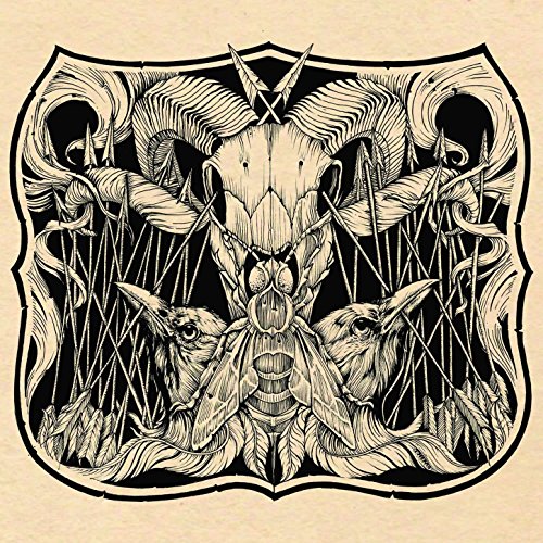 Play The Great Waste by Attack Vertical on Amazon Music