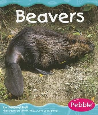Beavers: Hall, Margaret, Saunders-Smith, Gail: 9780736894913: Books ...