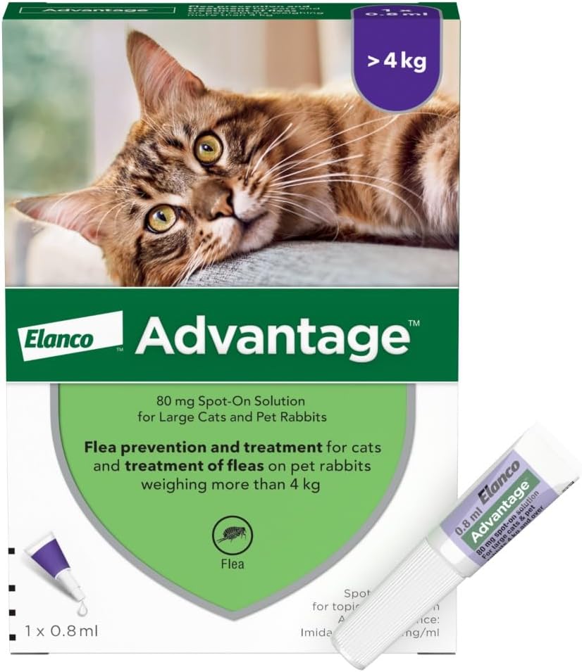 Advantage 80 Flea Spot On Treatment For Large Cats & Rabbits 1 Pipette ...