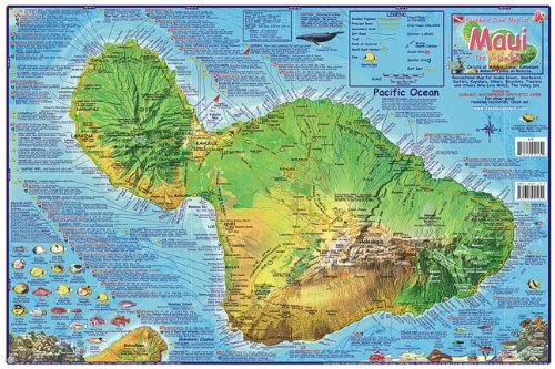 Franko's Dive Maui Waterproof Guidemap: Franko's Maps: Amazon.com: Books