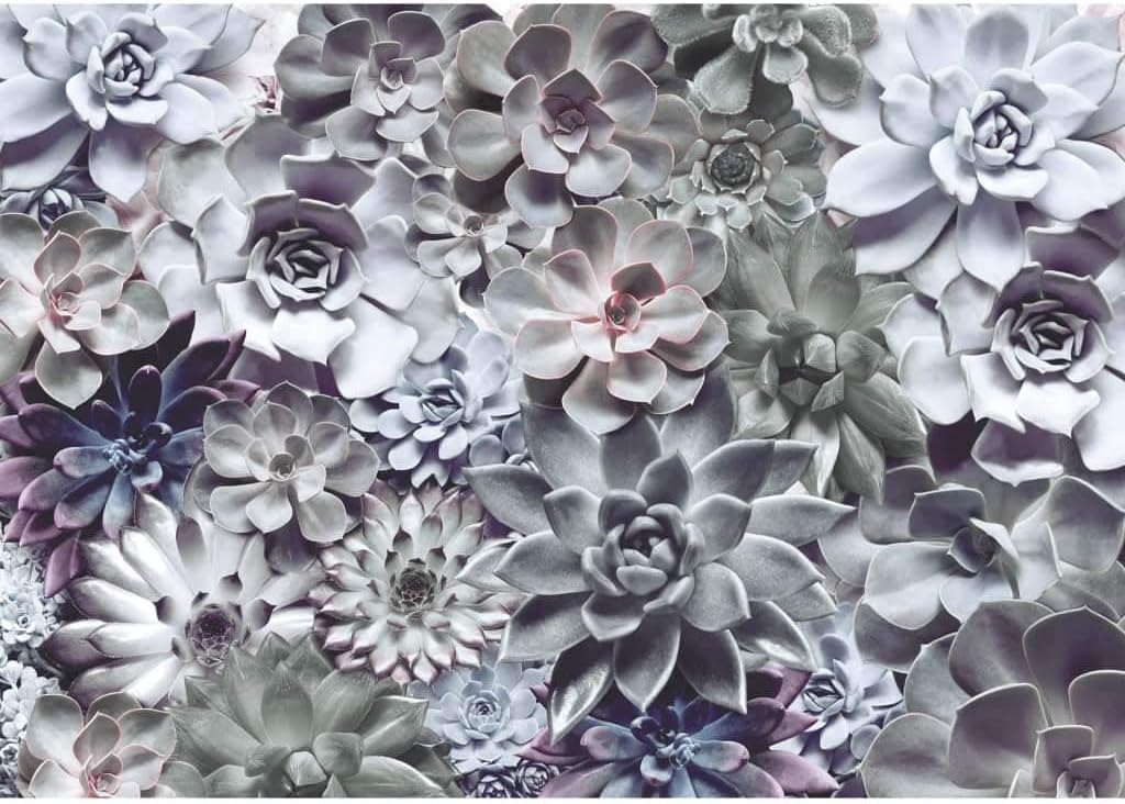 Komar 8-962 Shades Wall Mural, Green - Amazon.com