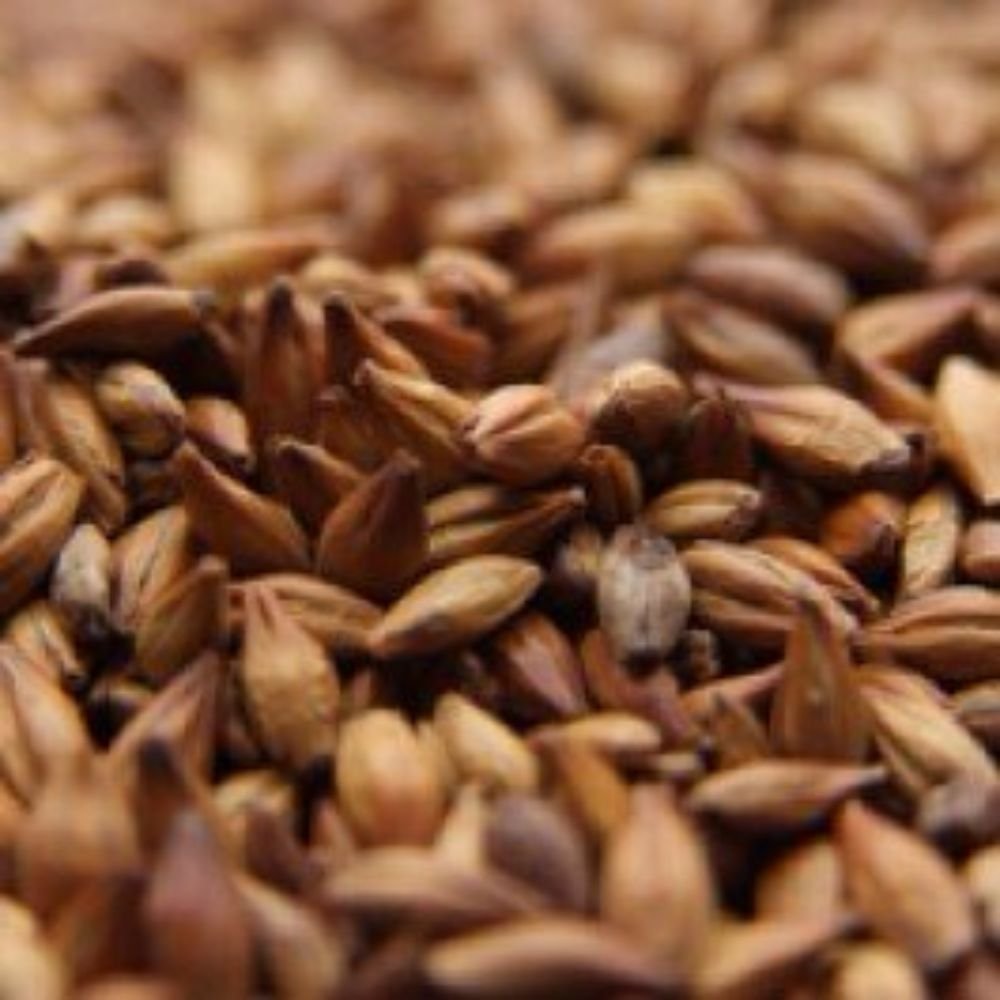 Amazon.com: Weyermann Carafa Type 2 Malt 1 lb : Grocery & Gourmet Food