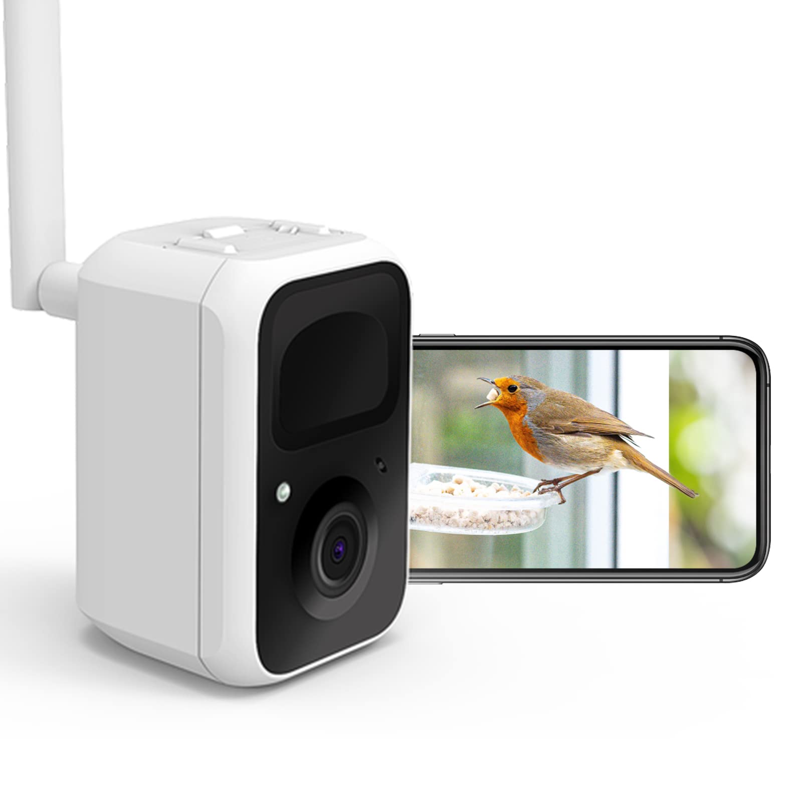 Netvue Birdfy Smart Bird Feeder Camera Bird Watching Camera Auto | Desertcart South Africa