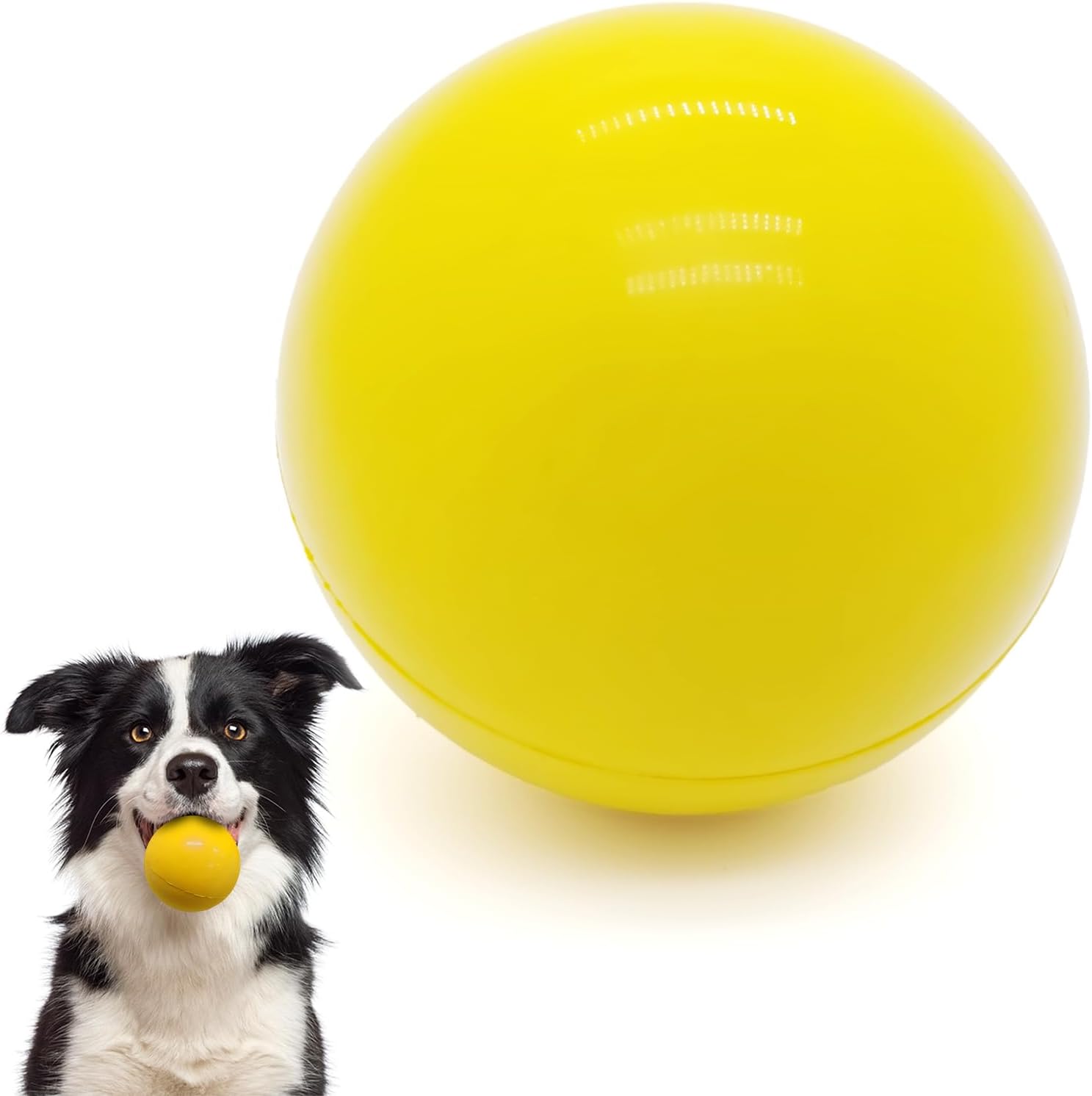 Pet Supplies : YUSENPET Ø 2.6" Tennis Size New Rubber Dog Toys Solid ...