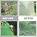 Amazon.com : 2 Pack 10 ft x 15ft Garden Insect Screen - Insect Barrier ...
