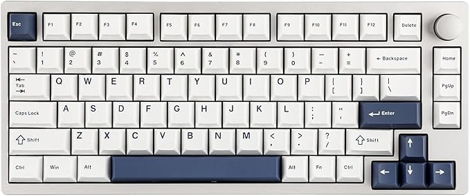 Amazon.com: EPOMAKER P75 Wireless Aluminum Mechanical Keyboard ...