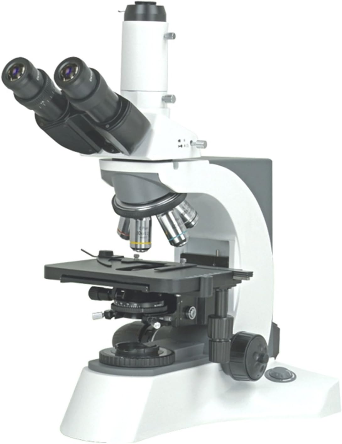 Amazon.com: Novel N—800M Trinocular Biological Microscope (White ...
