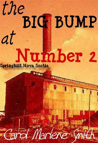 the BIG BUMP at Number 2 - Kindle edition by Smith, Carol Marlene ...