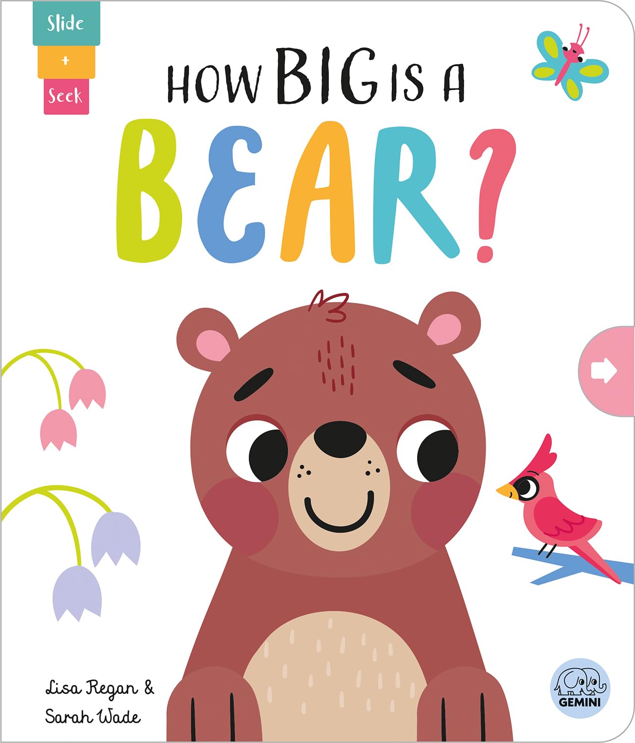 Amazon.com: How Big is a Bear? (Slide and Seek - Multi-Stage Pull Tab ...