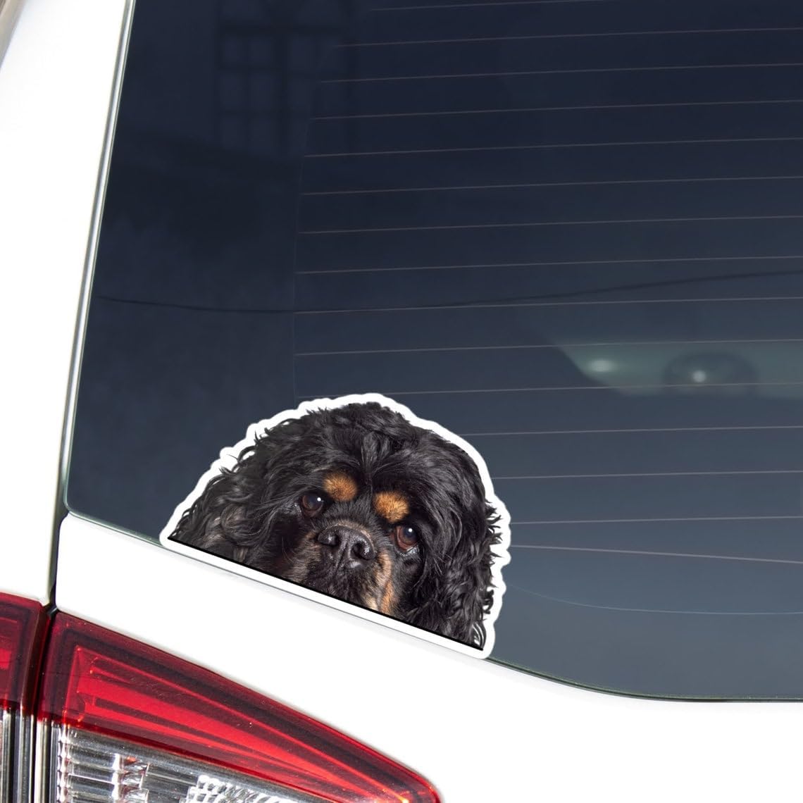 Amazon.com - Black&Tan Cocker Spaniel Car Decal Sticker, Realistic ...