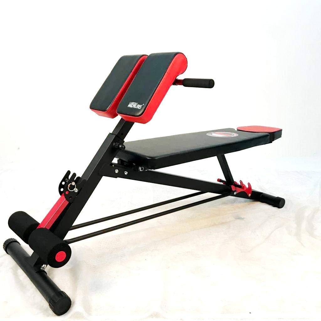 Sunny Health & Fitness 45-Degree Hyperextension Roman Chair Ab Workouts ...