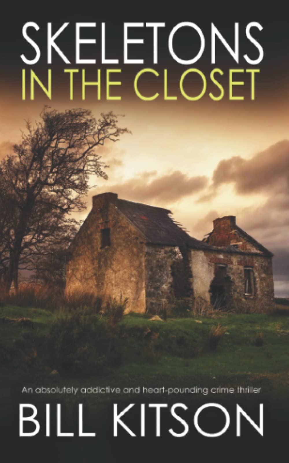 SKELETONS IN THE CLOSET an absolutely addictive and heart-pounding ...