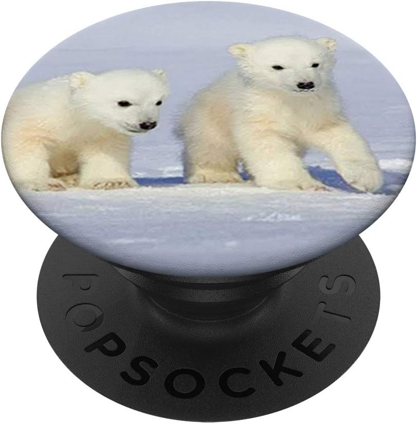 Amazon.com: Cute Polar Bear Cubs Design on Snow Background PopSockets ...