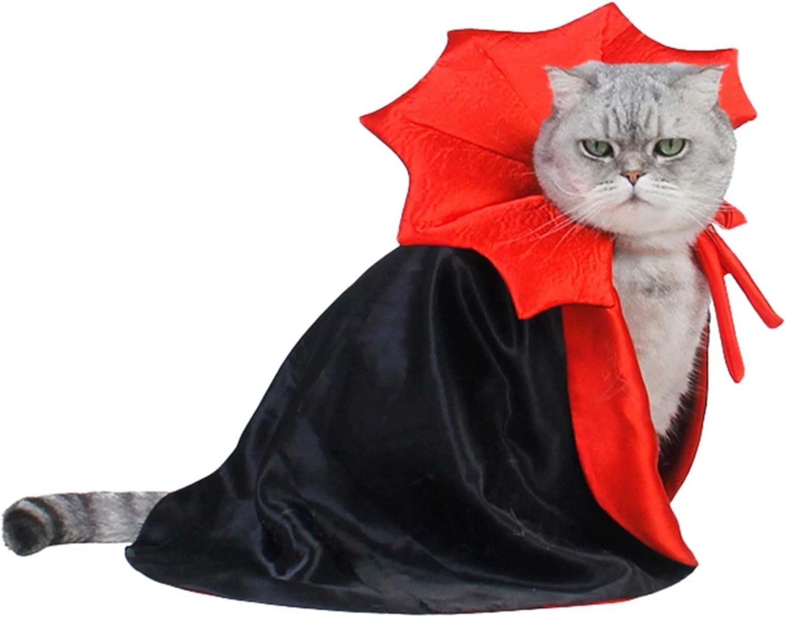 Amazon.com : Meihejia Halloween Cat Vampire Cape Costume - Super Cute ...